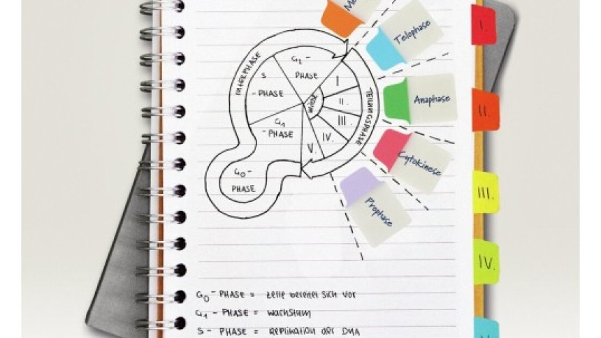 Ultra Tabs | Avery Zweckform